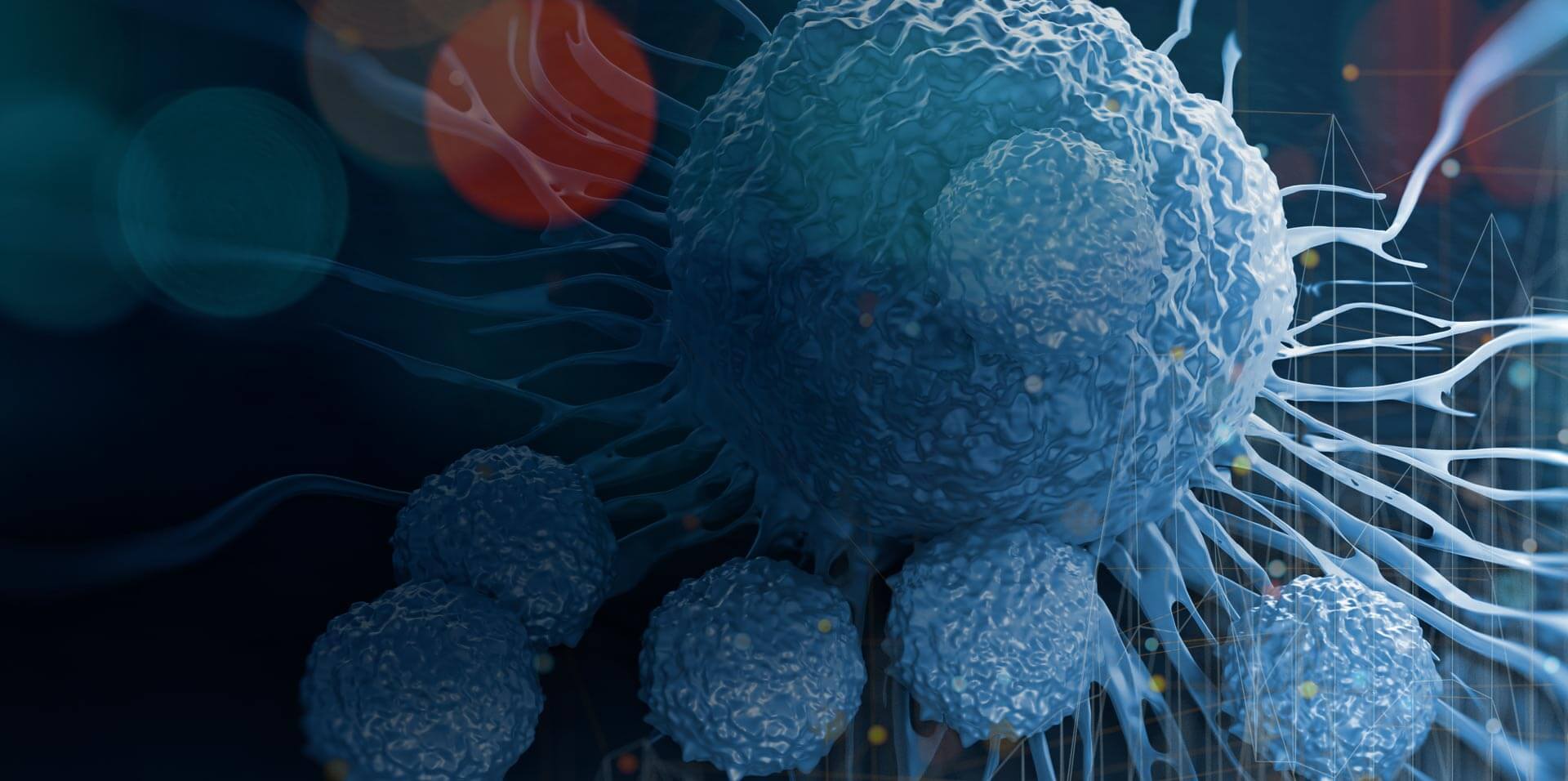 Optimized 505(b)(1) and 505(b)(2) Clinical Pharmacology Programs to ...